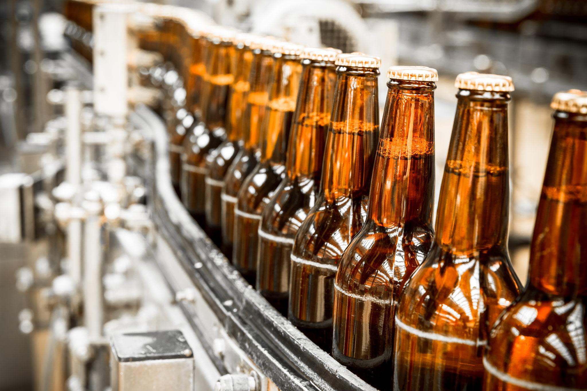 Beer bottles on the conveyor belt | Pharmequip